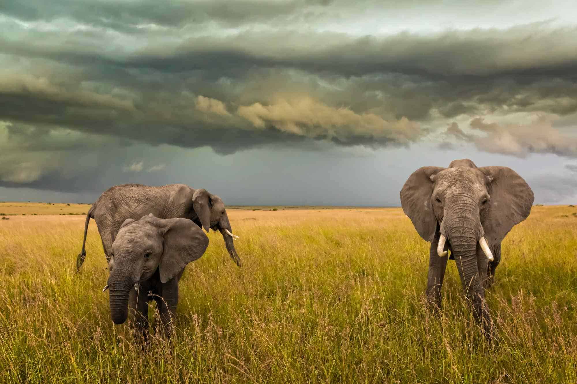 The 6 Most Fascinating Kenyan Landscapes – African Safari Tours Blog