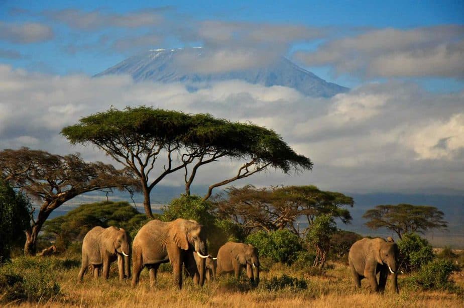 The 6 Most Fascinating Kenyan Landscapes – African Safari Tours Blog